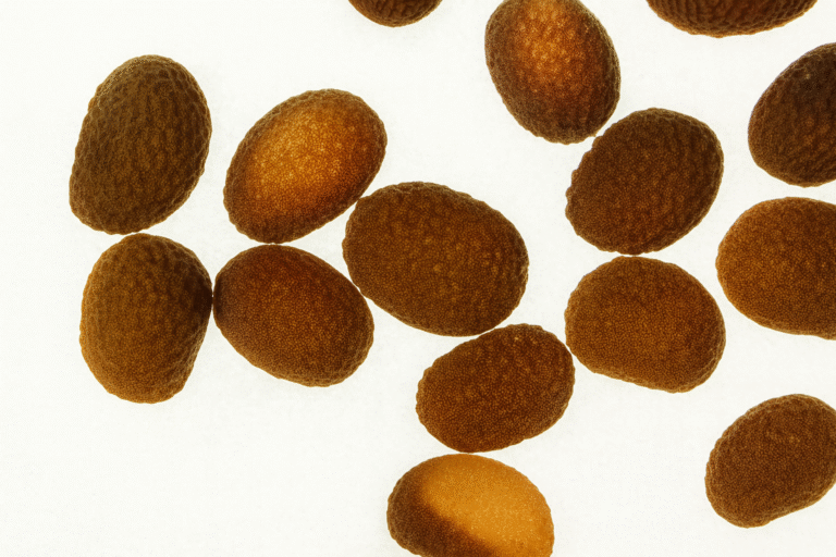 BIONOMOUS - AI-poweredsorting for plant seed research